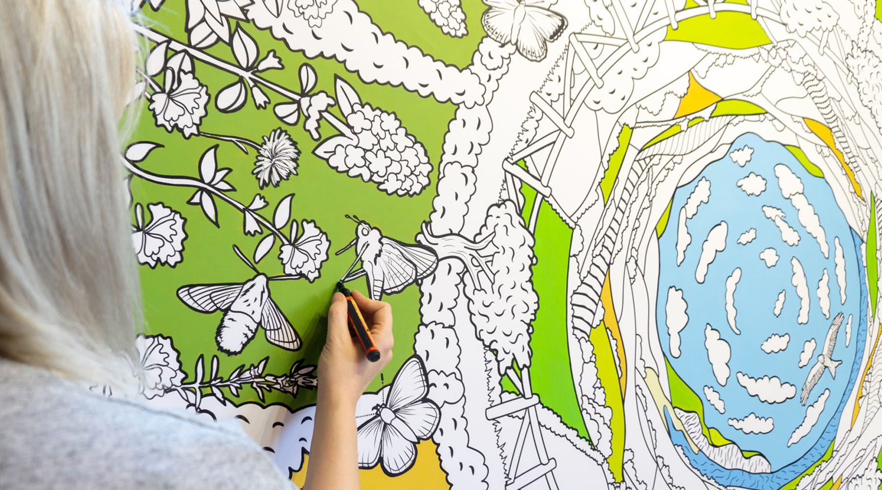 Neurodiversity coloring wall at UT Austin - Fancy Features